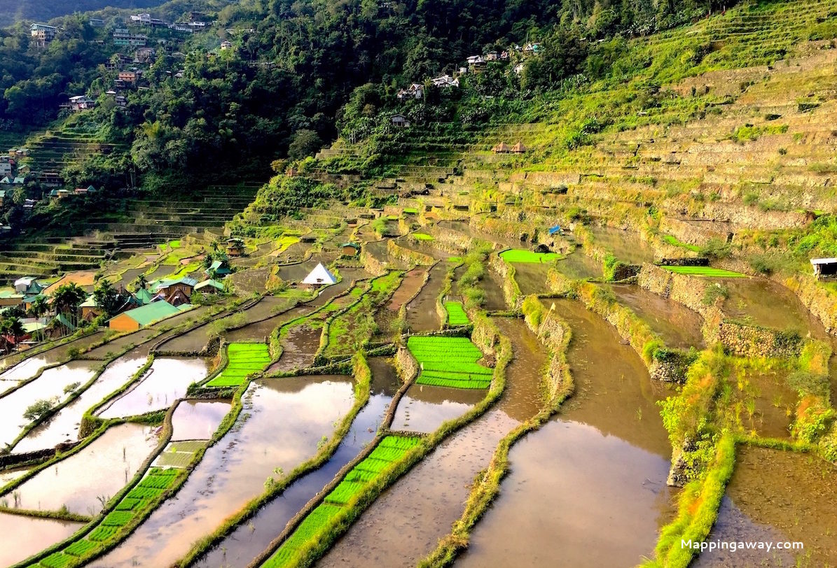 3 Day Batad Rice Terraces Itinerary and Homestays | Mapping Away